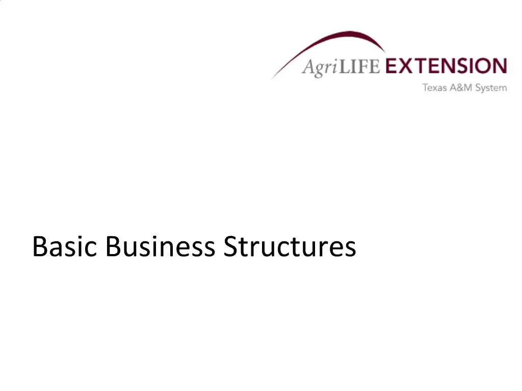 PPT - Basic Business Structures PowerPoint Presentation, free download ...