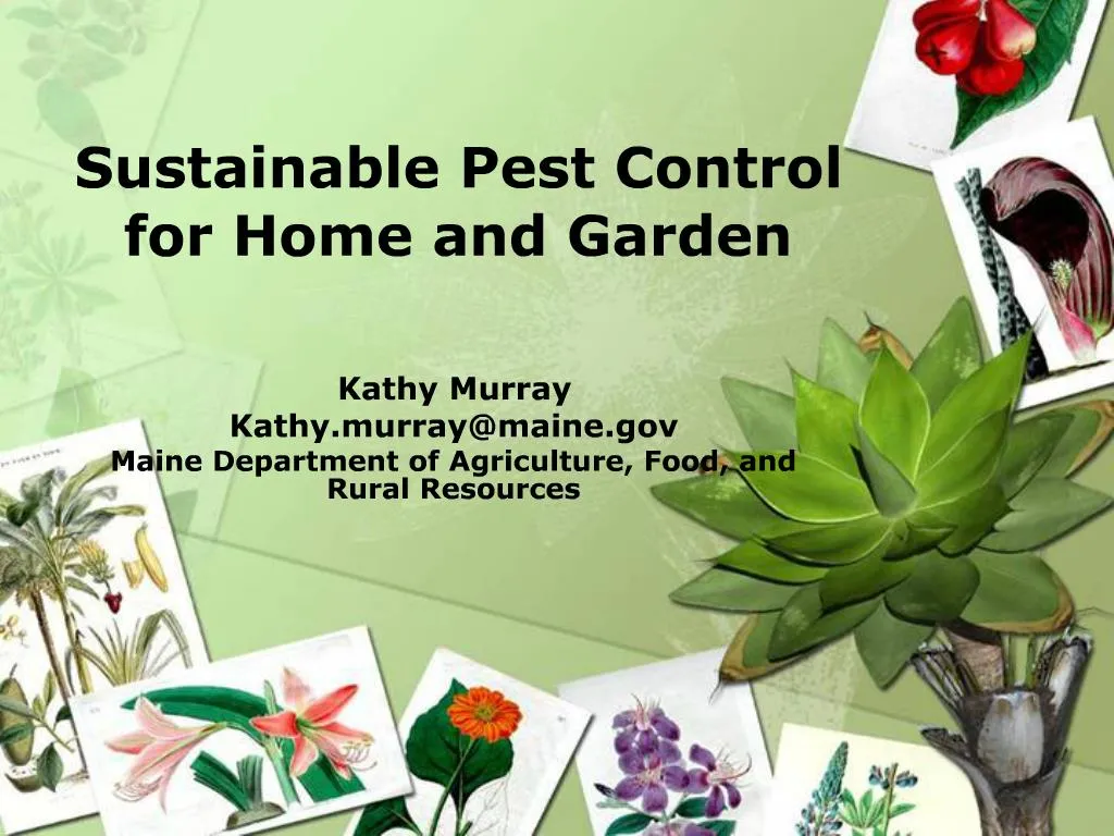PPT - Sustainable Pest Control for Home and Garden PowerPoint ...