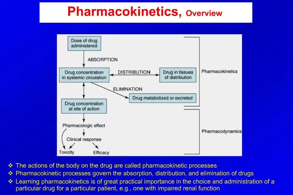 PPT - Pharmacokinetics, Overview PowerPoint Presentation, free download ...