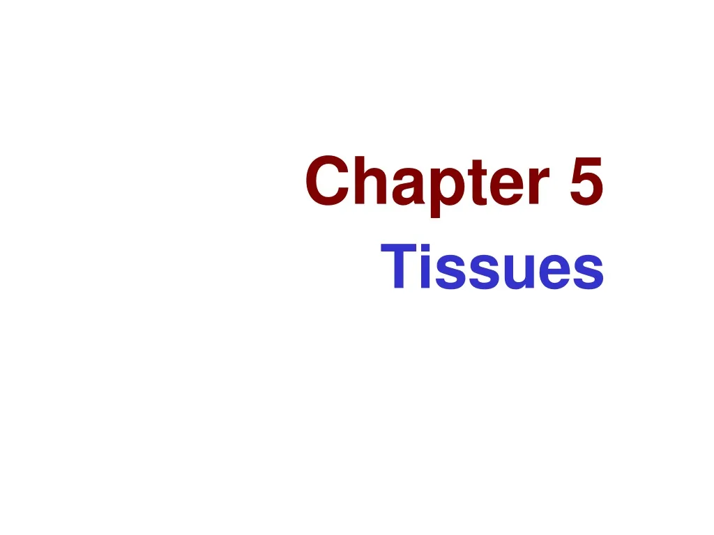 PPT - Chapter 5 Tissues PowerPoint Presentation, free download - ID:606575