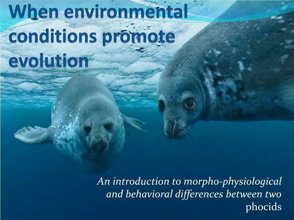 PPT - When environmental conditions promote evolution PowerPoint ...