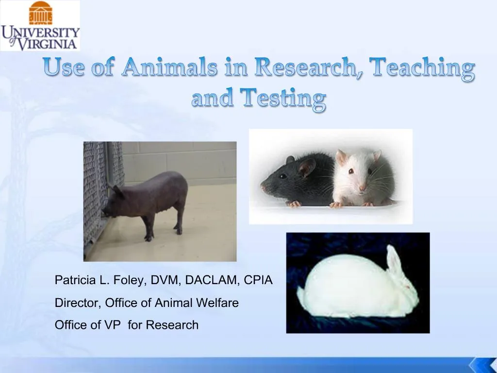 PPT - Use of Animals in Research, Teaching and Testing PowerPoint ...