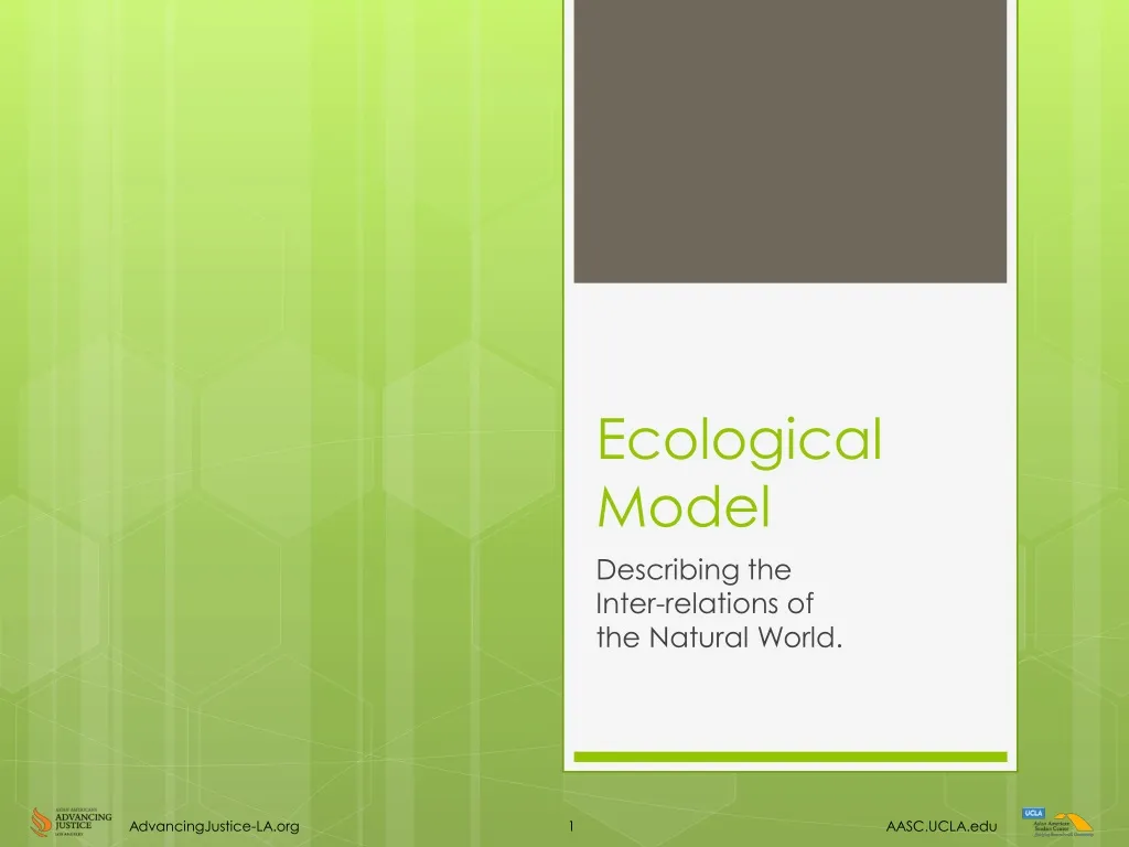 PPT - Ecological Model PowerPoint Presentation, free download - ID:623054