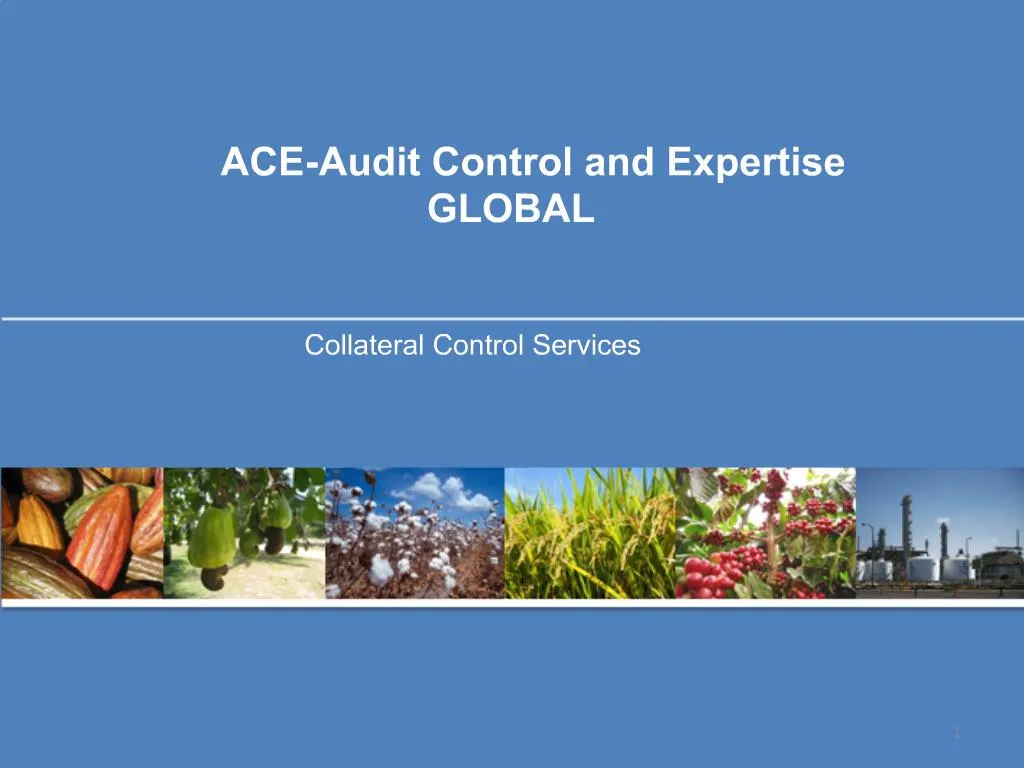 PPT - ACE-Audit Control and Expertise GLOBAL PowerPoint Presentation ...