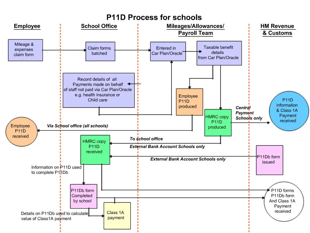 PPT - P11D Process for schools PowerPoint Presentation, free download ...