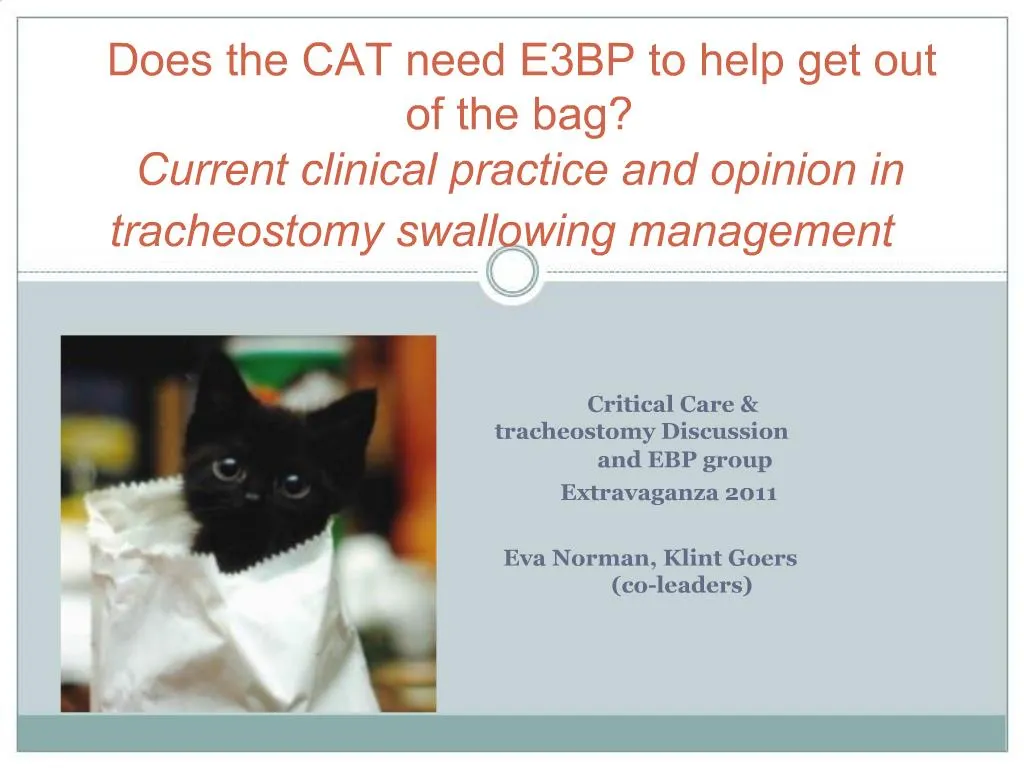 PPT - Does the CAT need E3BP to help get out of the bag Current ...