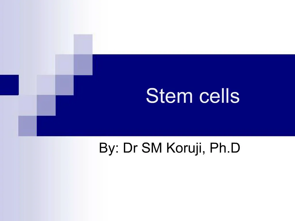 PPT - Stem cells PowerPoint Presentation, free download - ID:627462