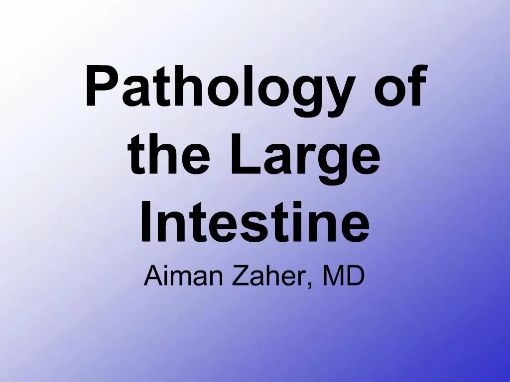 PPT - Pathology of the Large Intestine PowerPoint Presentation, free ...