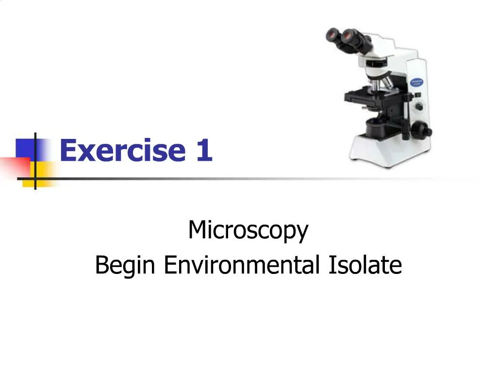 PPT - Exercise 1 PowerPoint Presentation, free download - ID:631421