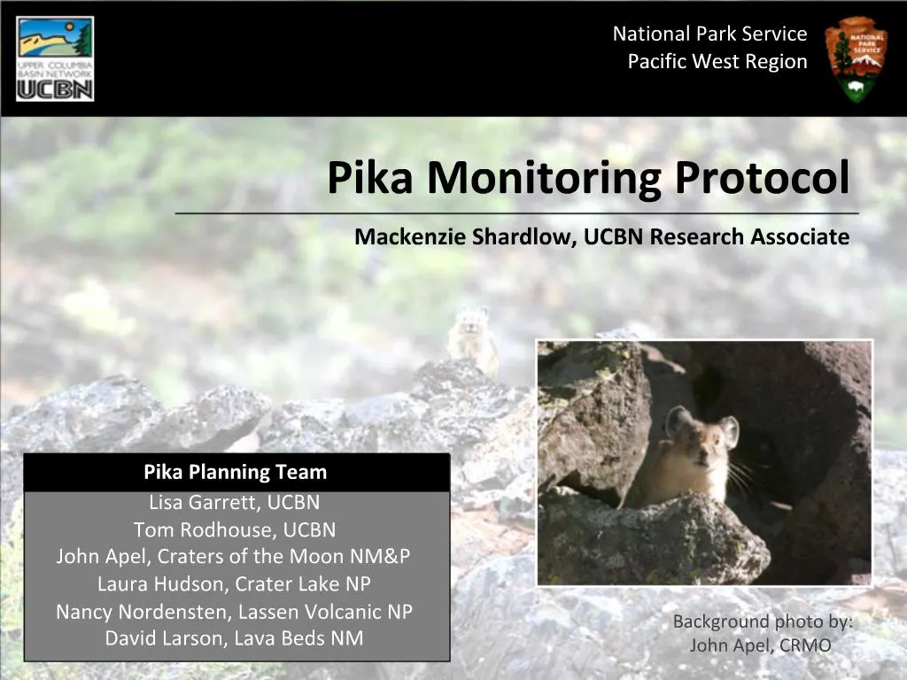 PPT - Pika Monitoring Protocol PowerPoint Presentation, free download ...