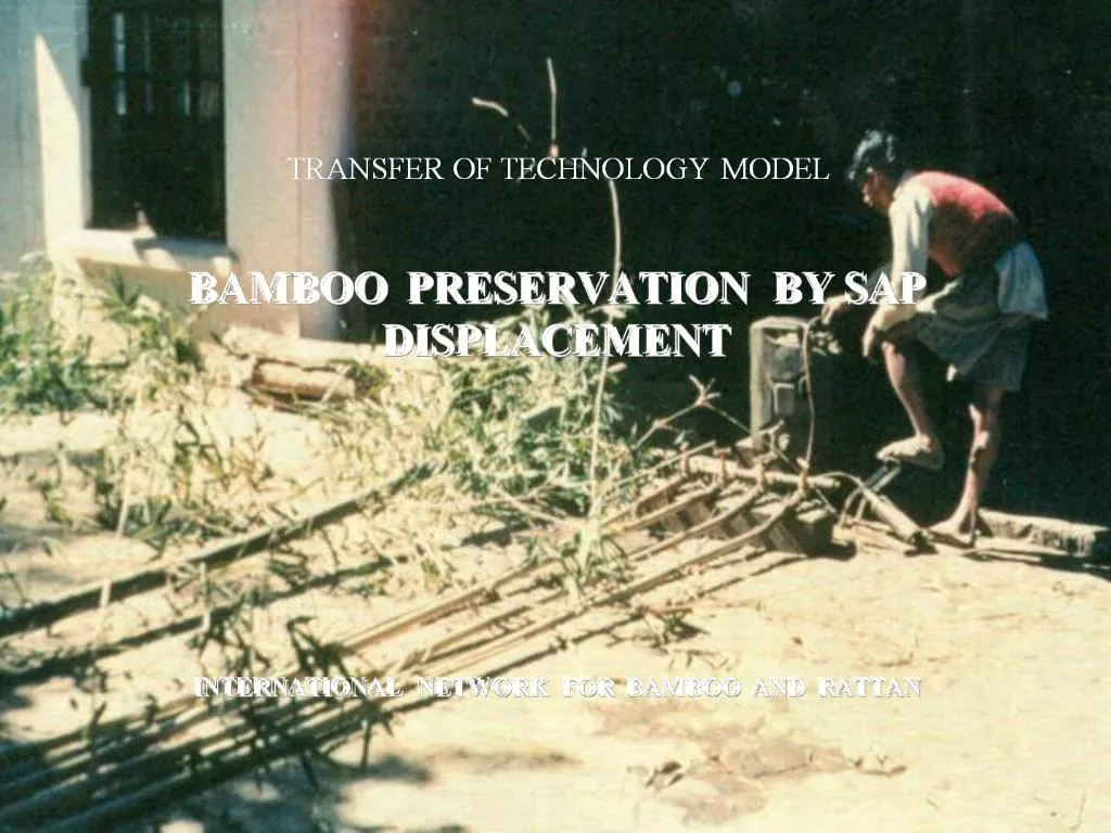 PPT - TRANSFER OF TECHNOLOGY MODEL BAMBOO PRESERVATION BY SAP ...