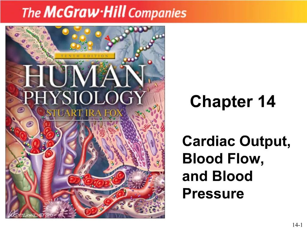 PPT - Cardiac Output, Blood Flow, and Blood Pressure PowerPoint ... PPT - Cardiac Output, Blood Flow, and Blood Pressure PowerPoint ...