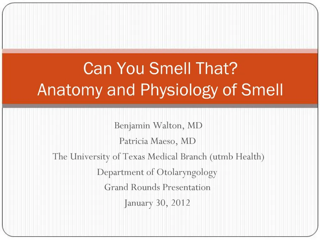 PPT - Can You Smell That Anatomy and Physiology of Smell PowerPoint ...