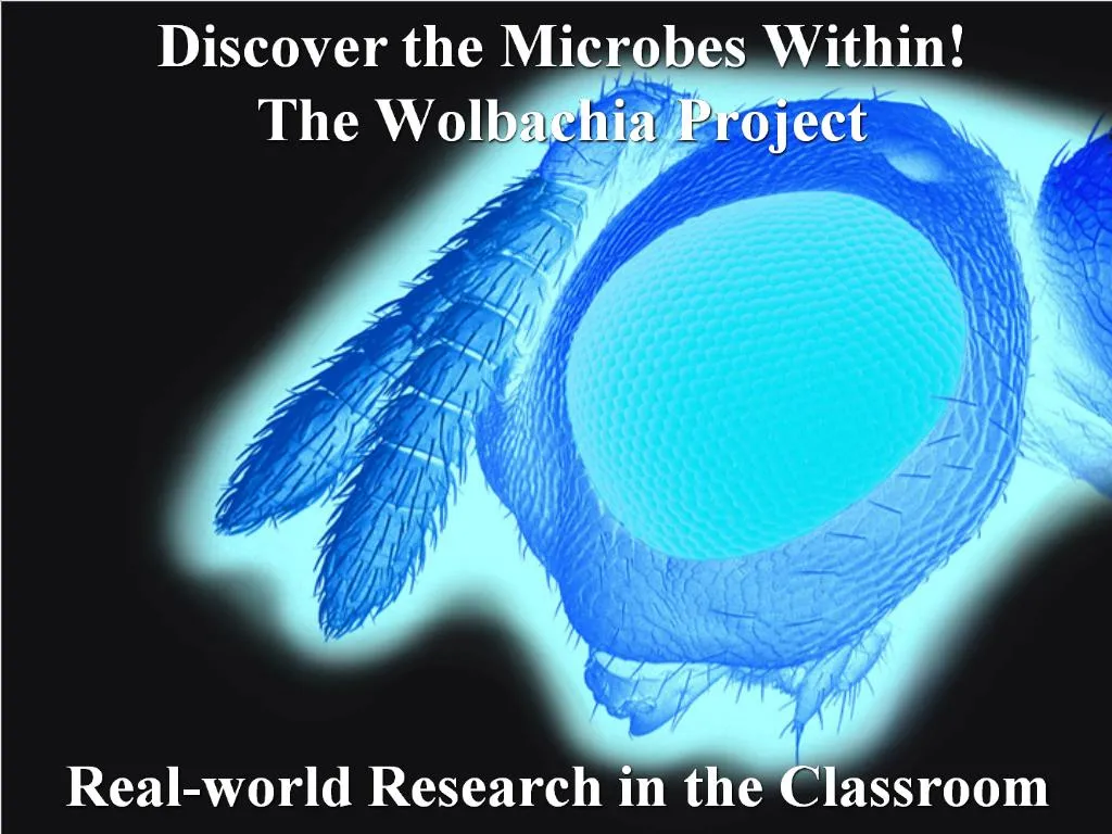 PPT - Discover the Microbes Within The Wolbachia Project PowerPoint ...