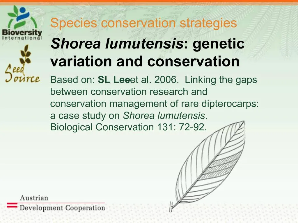 PPT - Species conservation strategies PowerPoint Presentation, free ...