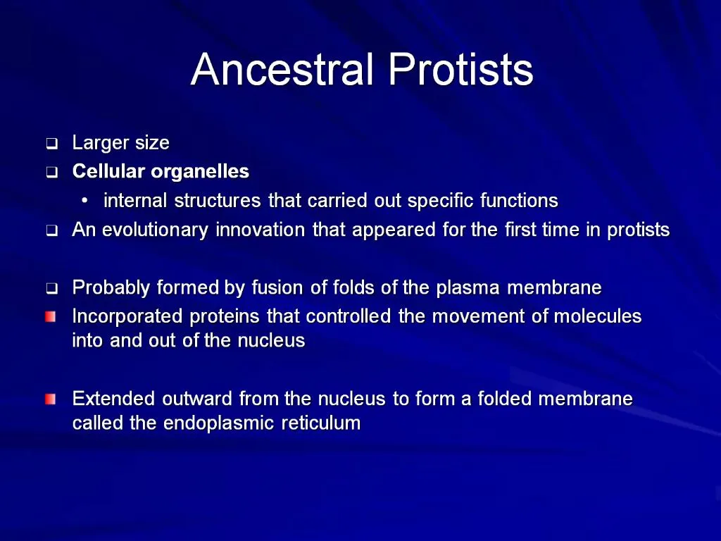 PPT - Ancestral Protists PowerPoint Presentation, free download - ID:654228