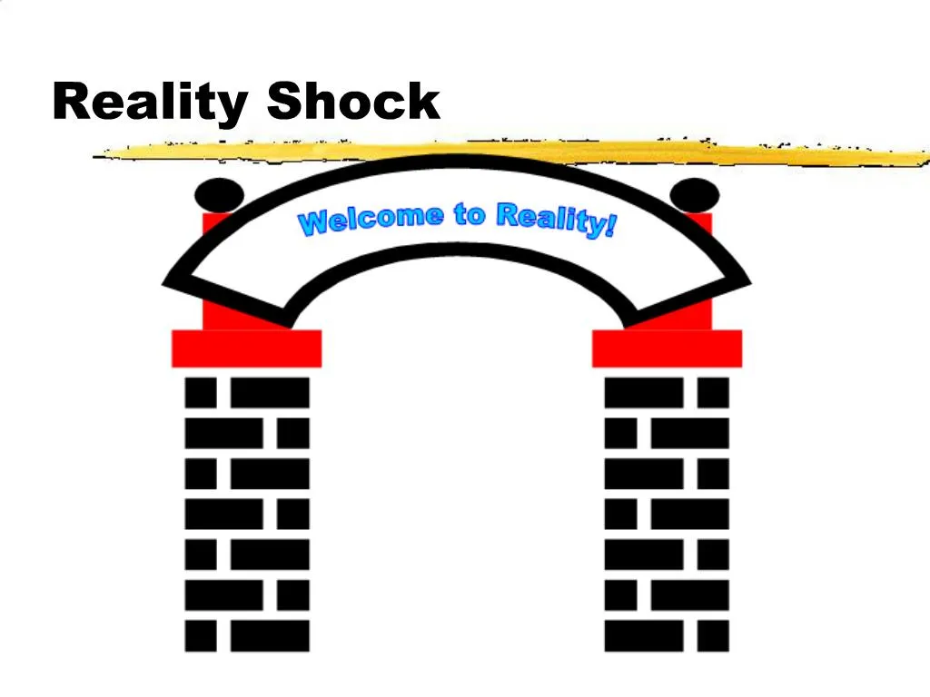 PPT - Reality Shock PowerPoint Presentation, free download - ID:667135