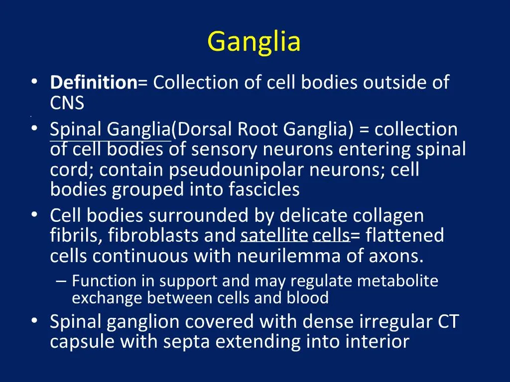 PPT - Ganglia PowerPoint Presentation, free download - ID:670791