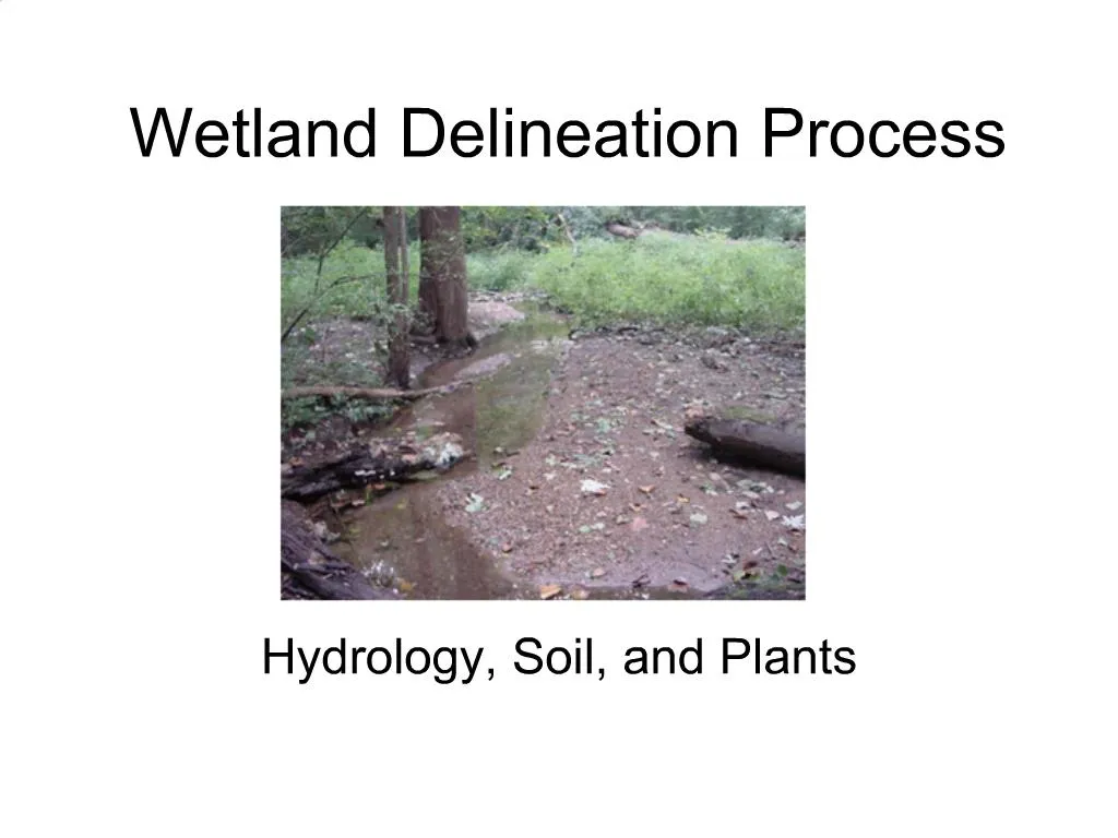 PPT - Wetland Delineation Process PowerPoint Presentation, free ...