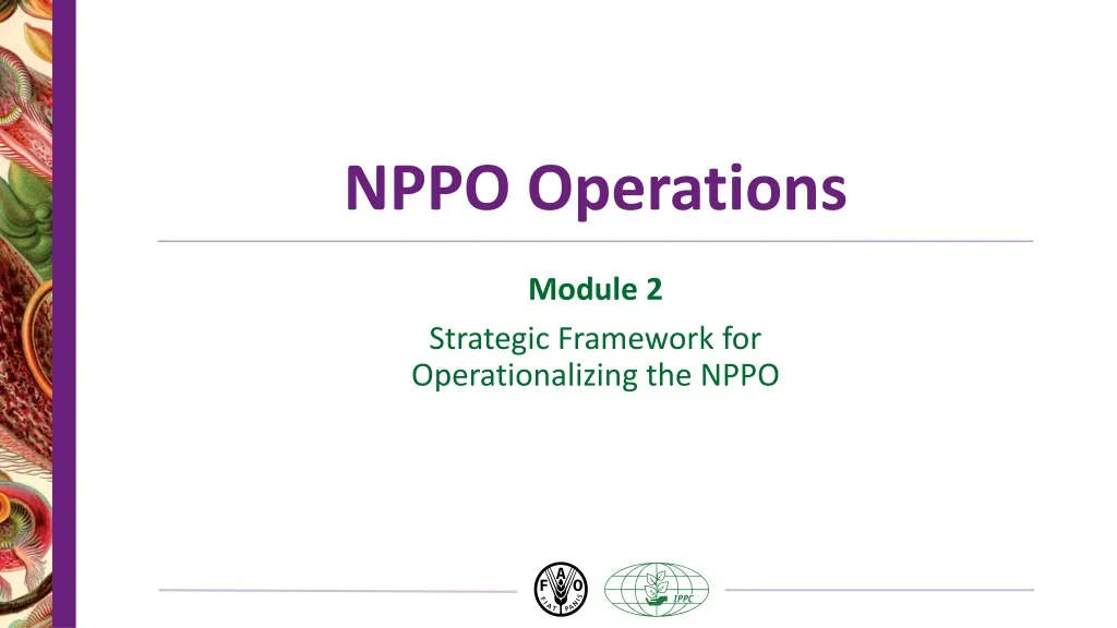 PPT - NPPO Operations PowerPoint Presentation, free download - ID:672628
