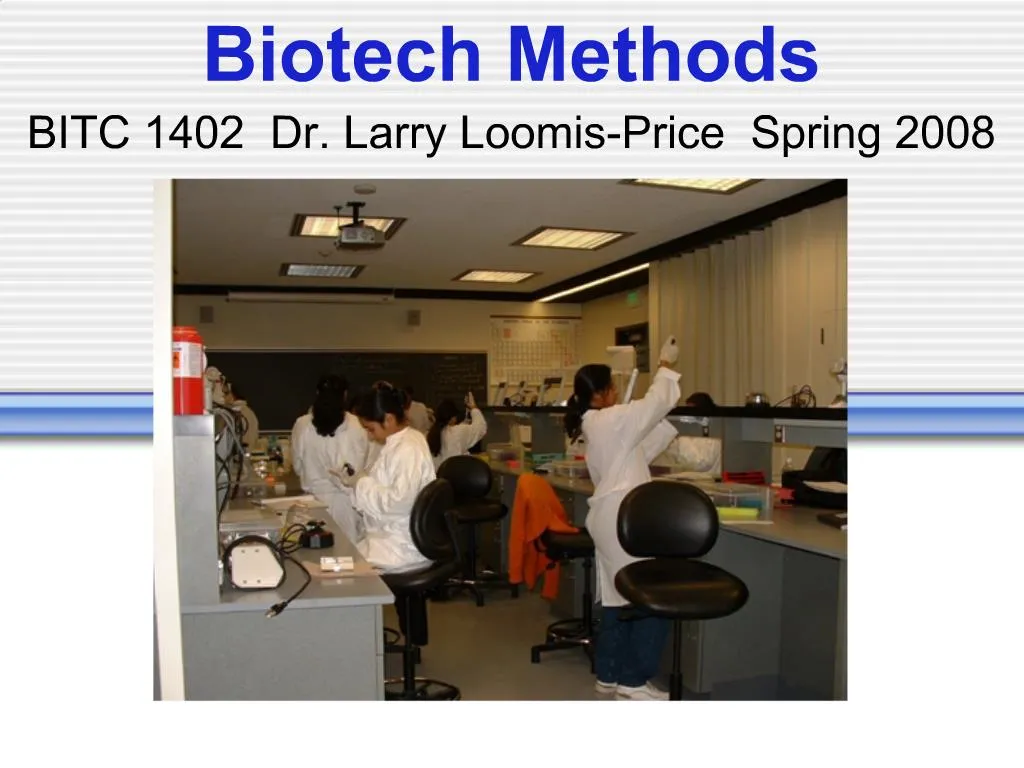 PPT - Biotech Methods PowerPoint Presentation, free download - ID:708478