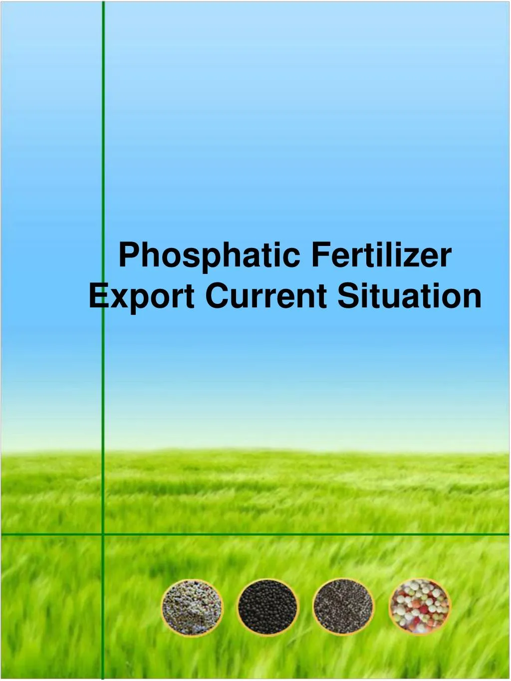 PPT - Phosphatic Fertilizer Export Current Situation PowerPoint ...