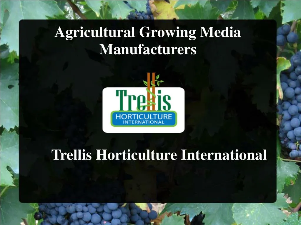PPT - Agricultural Growing Media Manufacturers PowerPoint Presentation ...