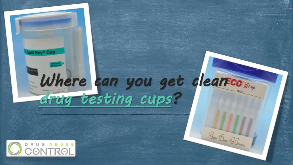 PPT - Where can you find clean drug testing cups? PowerPoint ...