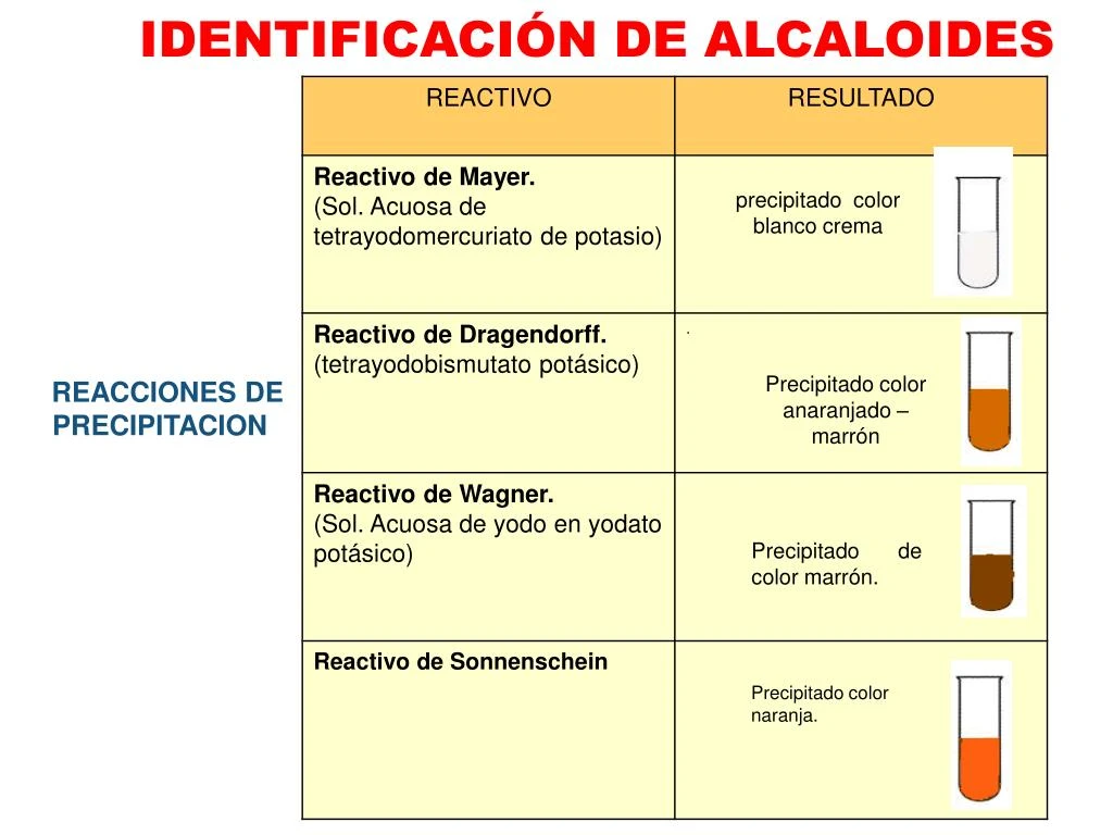 PPT - alcaloides PowerPoint Presentation - ID:7164340