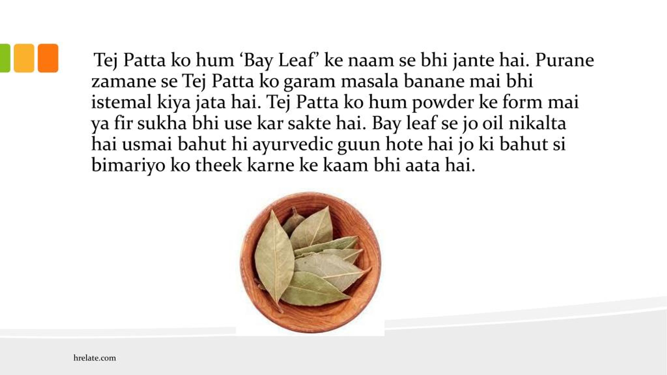 PPT Tej Patta Bay Leaf Benefits Janiye Isse Hone Wale Fayde PPT Tej Patta Bay Leaf Benefits Janiye Isse Hone Wale Fayde