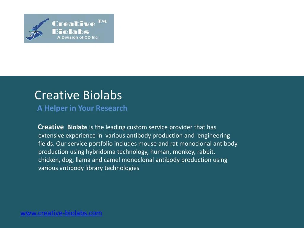 PPT - Creative Biolabs — A Global Biotech Provider from the USA ...