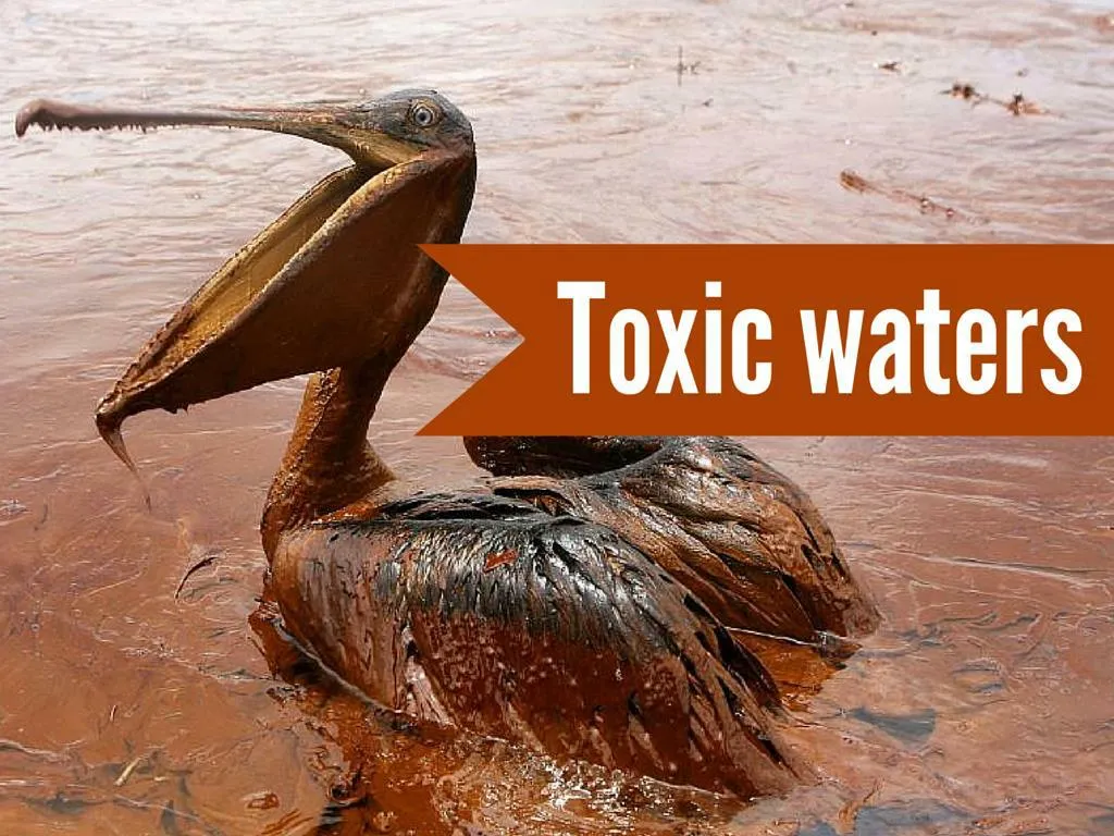 PPT - Toxic waters PowerPoint Presentation, free download - ID:7191409