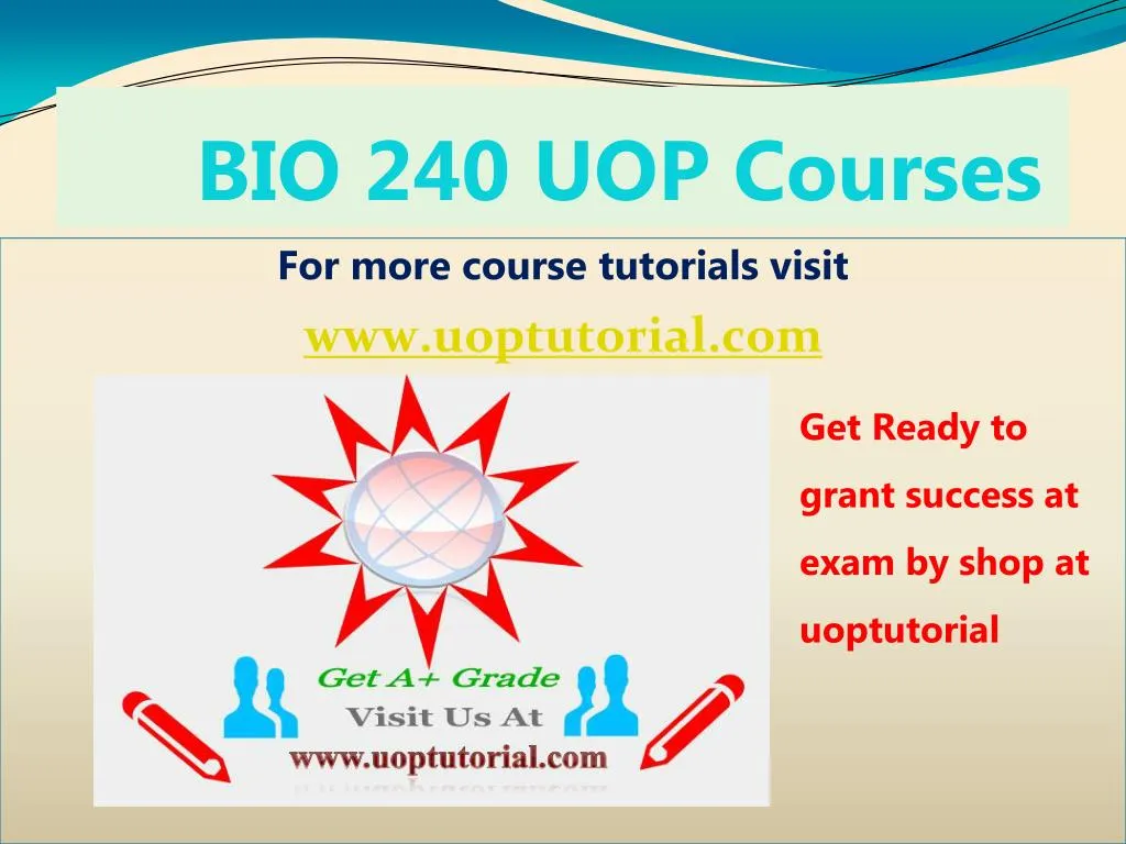 PPT - BIO 240 UOP TUTORIAL / Uoptutorial PowerPoint Presentation, free download - ID:7193313