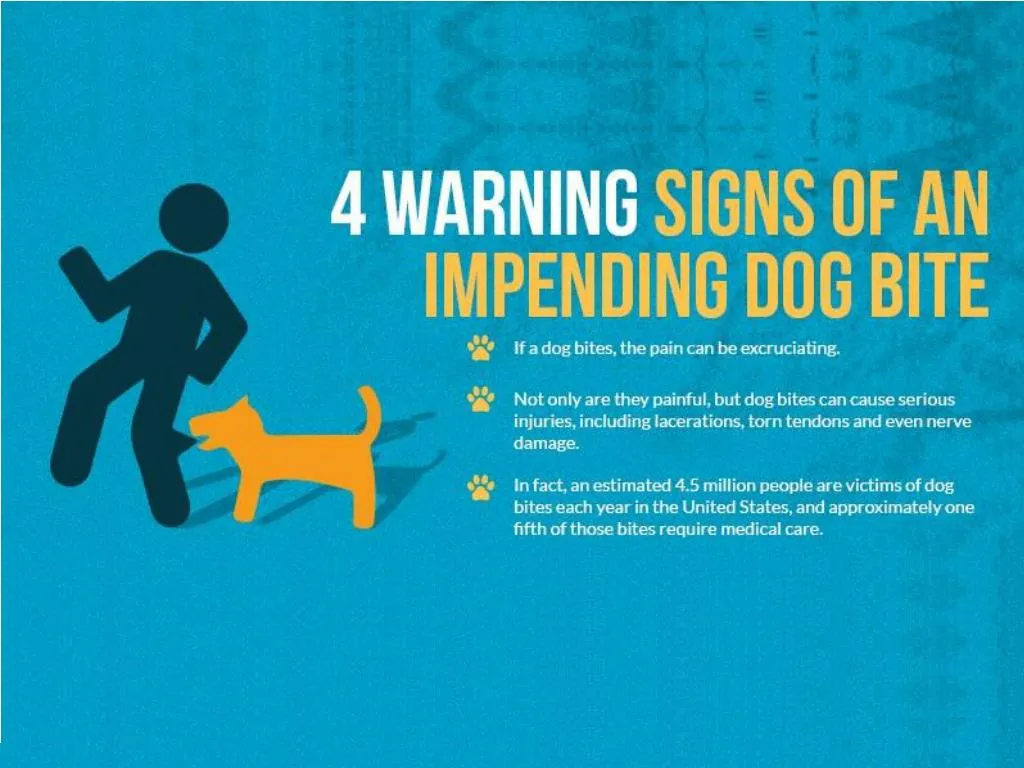 PPT - 4 Warning Signs of an impending dog bite PowerPoint Presentation ...