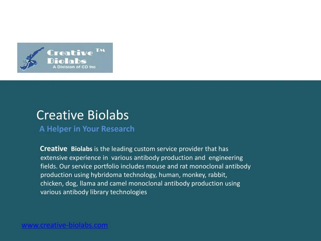 PPT - Creative Biolabs — A Global Biotech Provider from the USA ...