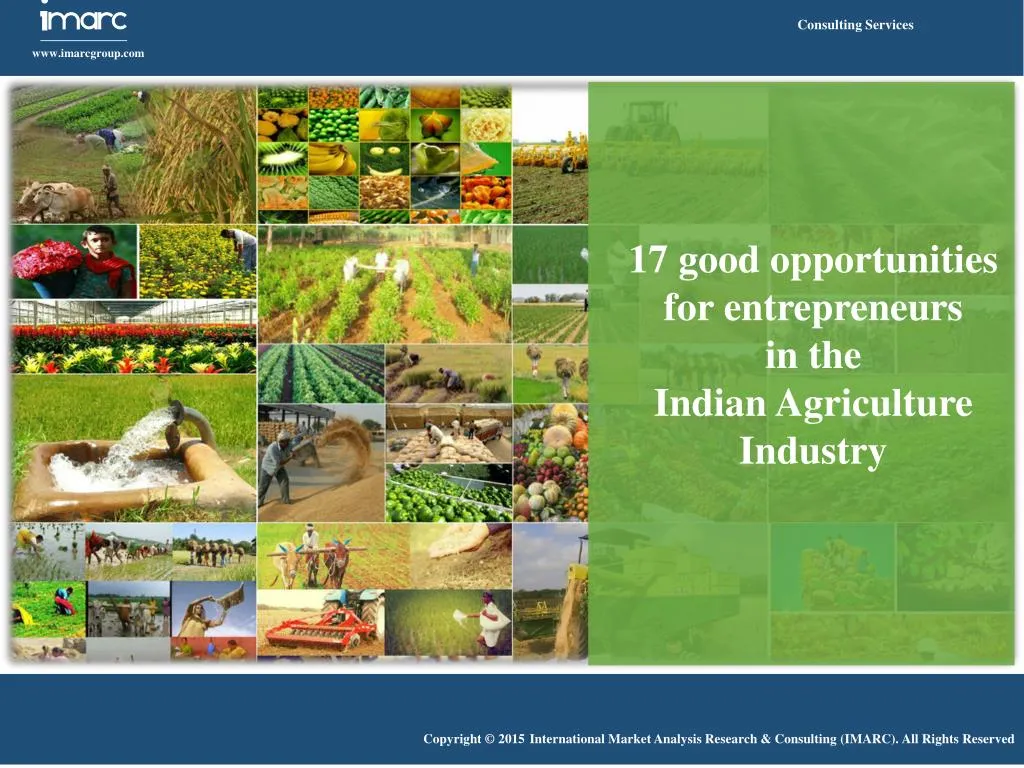 PPT - Indian Agriculture Industry Opportunities for Entrepreneurs PowerPoint Presentation - ID ...
