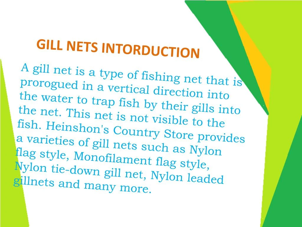 PPT - Use of Gill Nets in Fishing - Texastastes PowerPoint Presentation ...