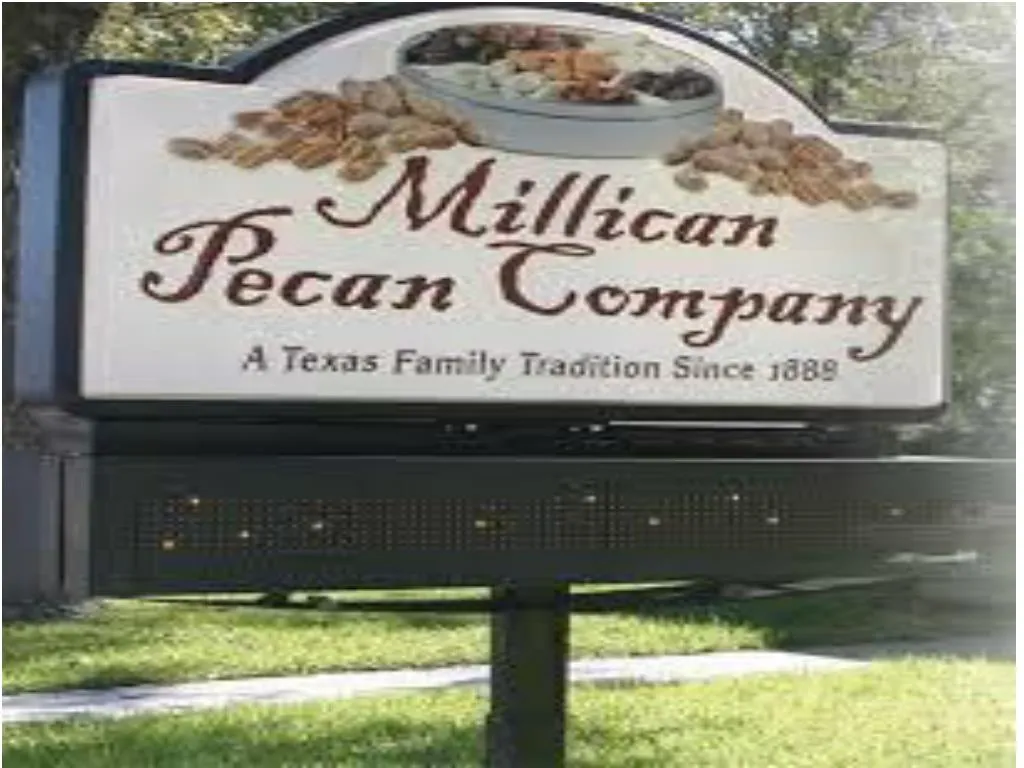 PPT - PECANS NUTRITIONAL VALUE PowerPoint Presentation, free download ...