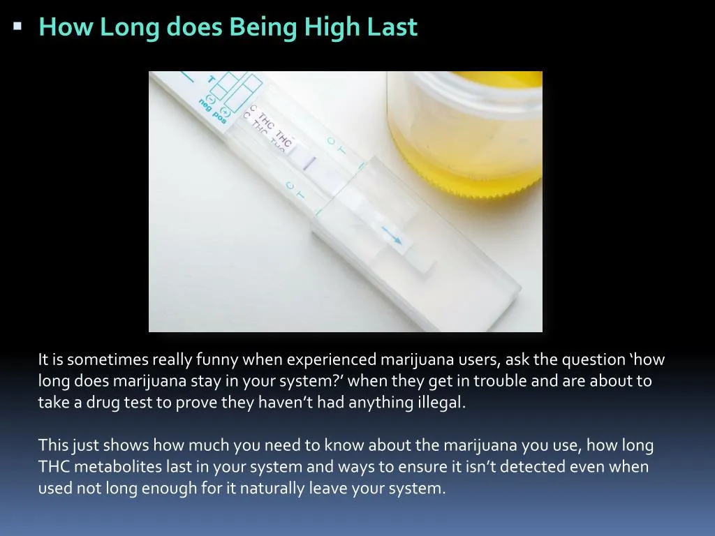 PPT - how long does being high last PowerPoint Presentation, free ...