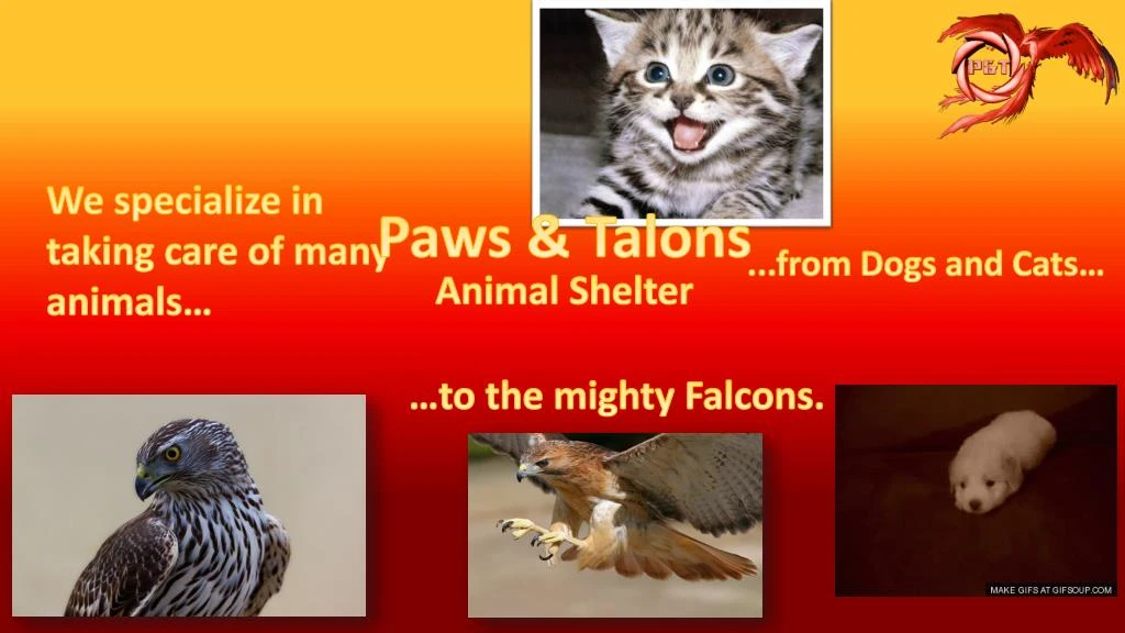 PPT - Digital Poster for animal shelter PowerPoint Presentation - ID ...