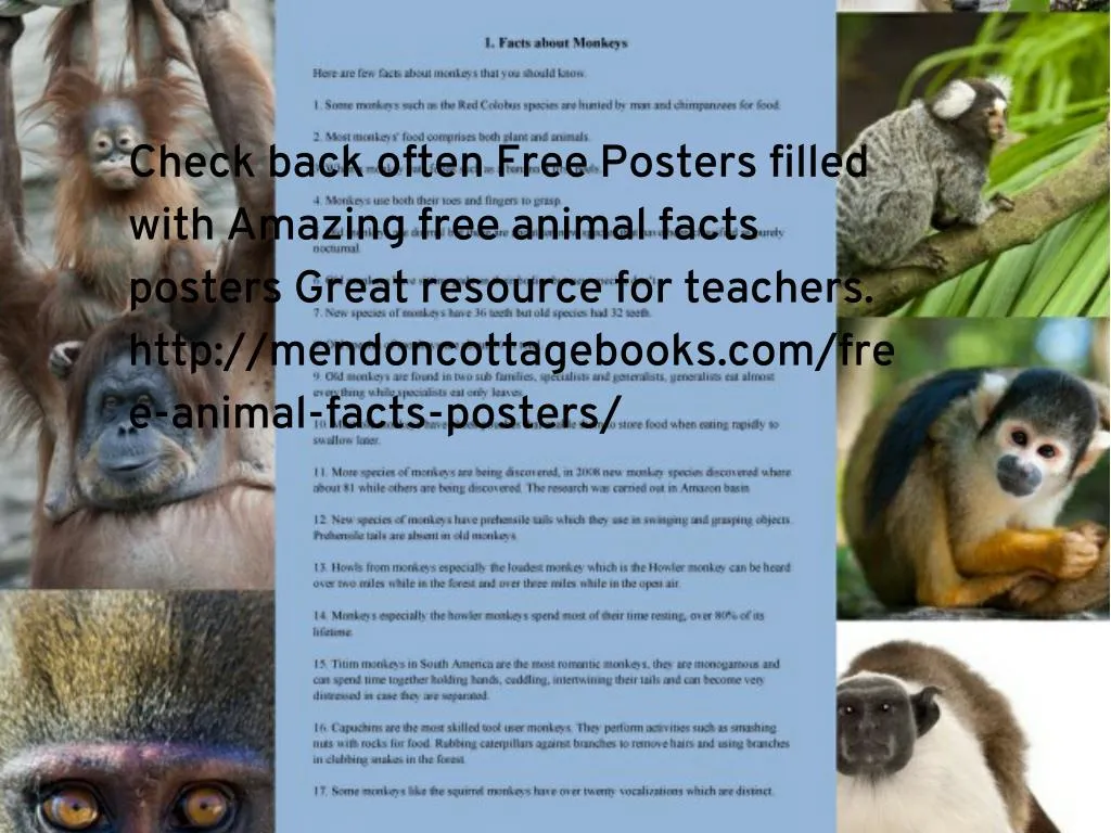 PPT - free animal facts posters PowerPoint Presentation, free download ...