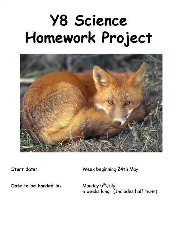 PPT - Y8 Science Homework Project PowerPoint Presentation, free ...