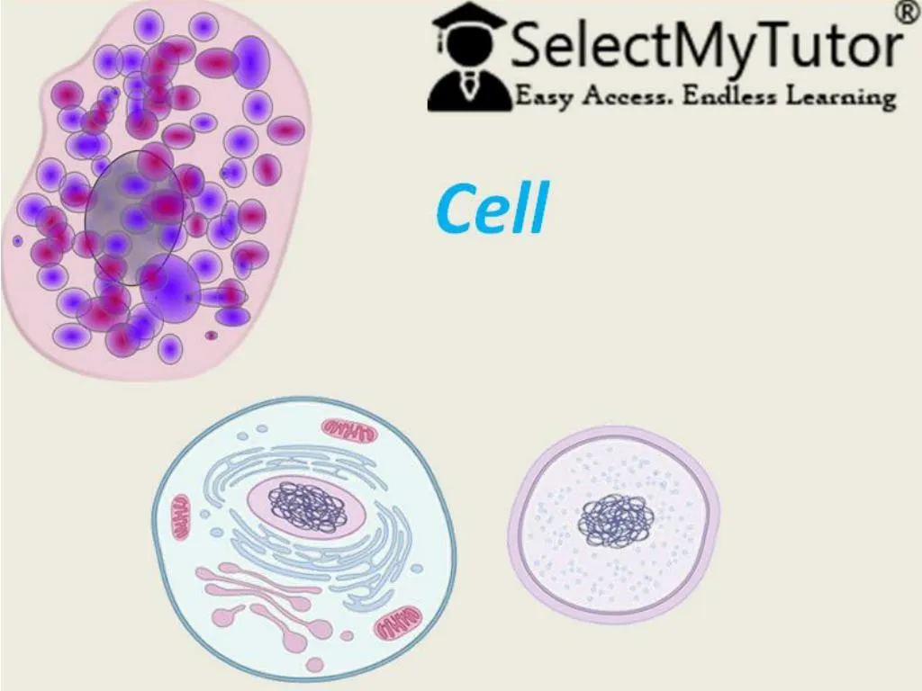 PPT - cell PowerPoint Presentation, free download - ID:7297241