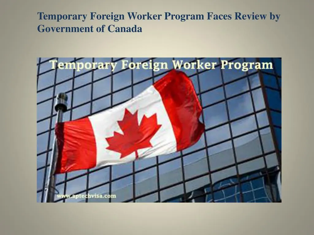 PPT - Temporary Foreign Worker Program Faces Review by Government of ...