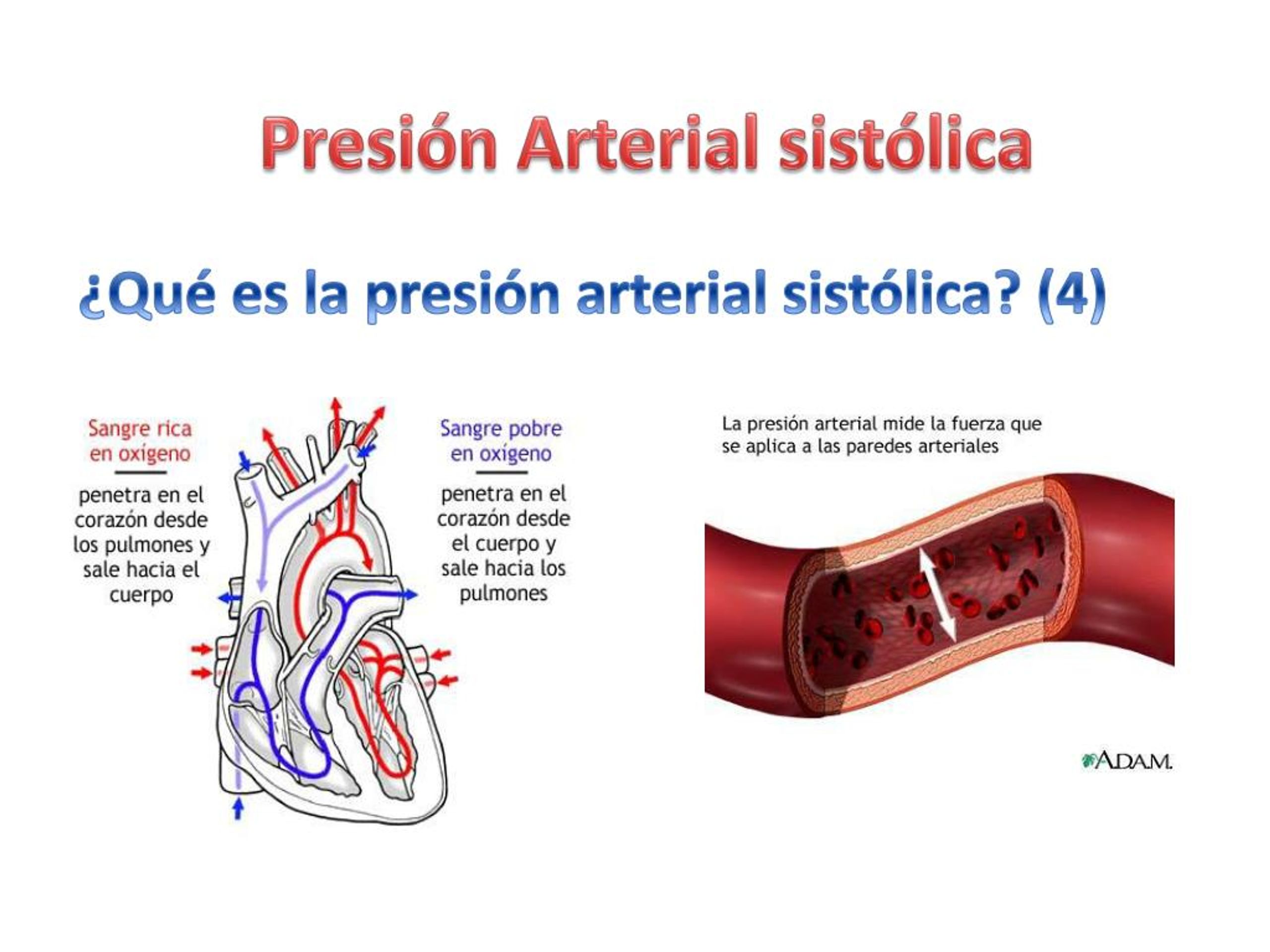 Ppt Factores De Riesgo Cardiovascular Powerpoint Presentation Free