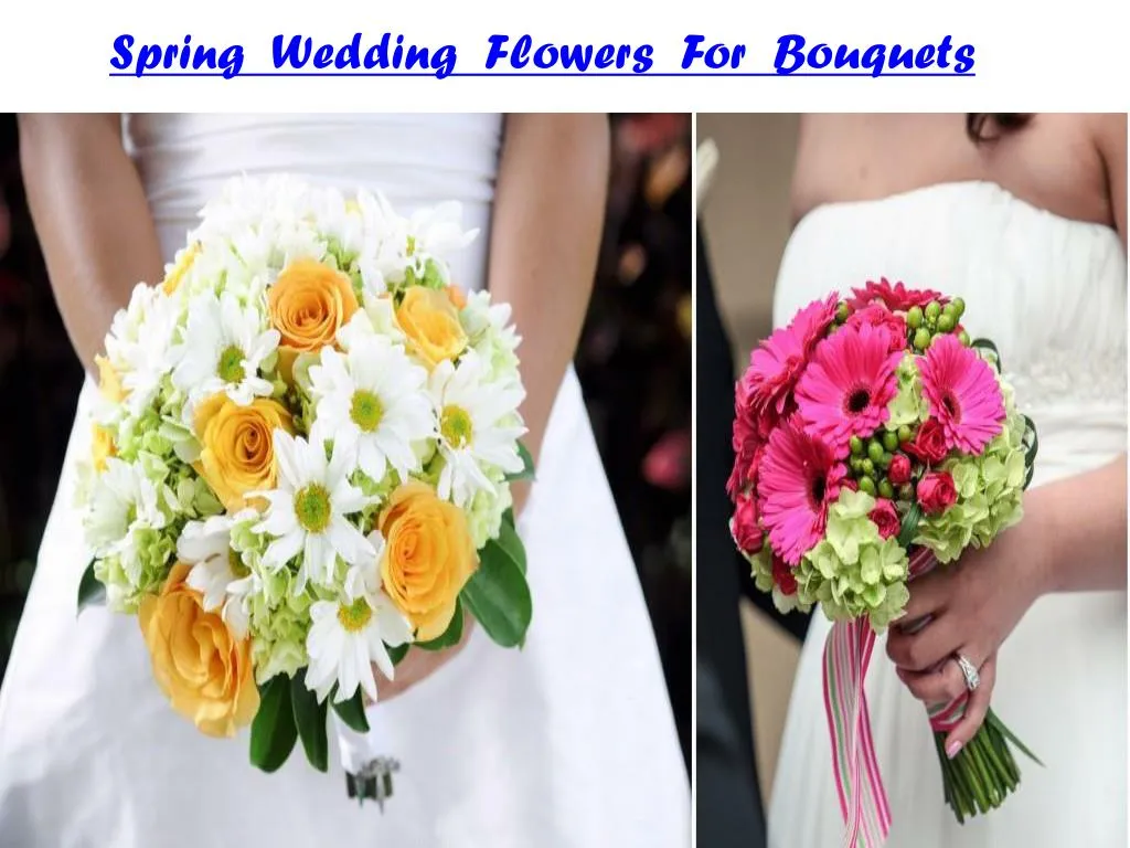 PPT - Spring Wedding Flowers For Bouquets PowerPoint Presentation, free ...