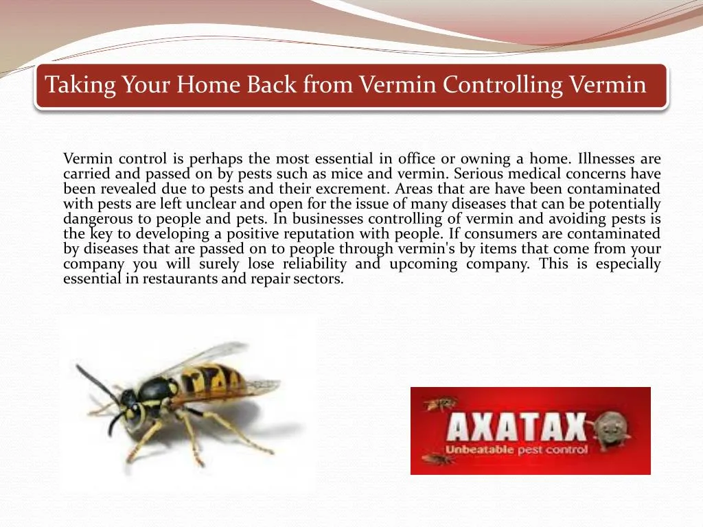 PPT - Taking Your Home Back from Vermin Controlling Vermin PowerPoint ...