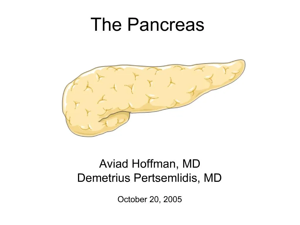 PPT - The Pancreas PowerPoint Presentation, free download - ID:731036