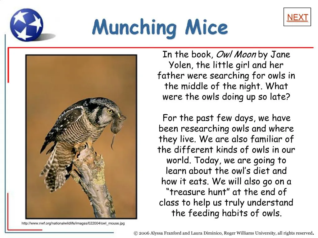 PPT - Munching Mice PowerPoint Presentation, free download - ID:731160