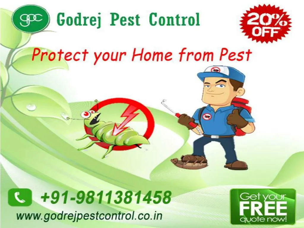 PPT - Flat 20% off on pest control Faridabad by GPC PowerPoint ...